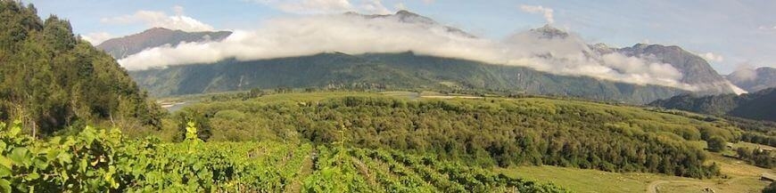 Commandez votre vin chilien en ligne – Wines of Earth - Wines Of Earth